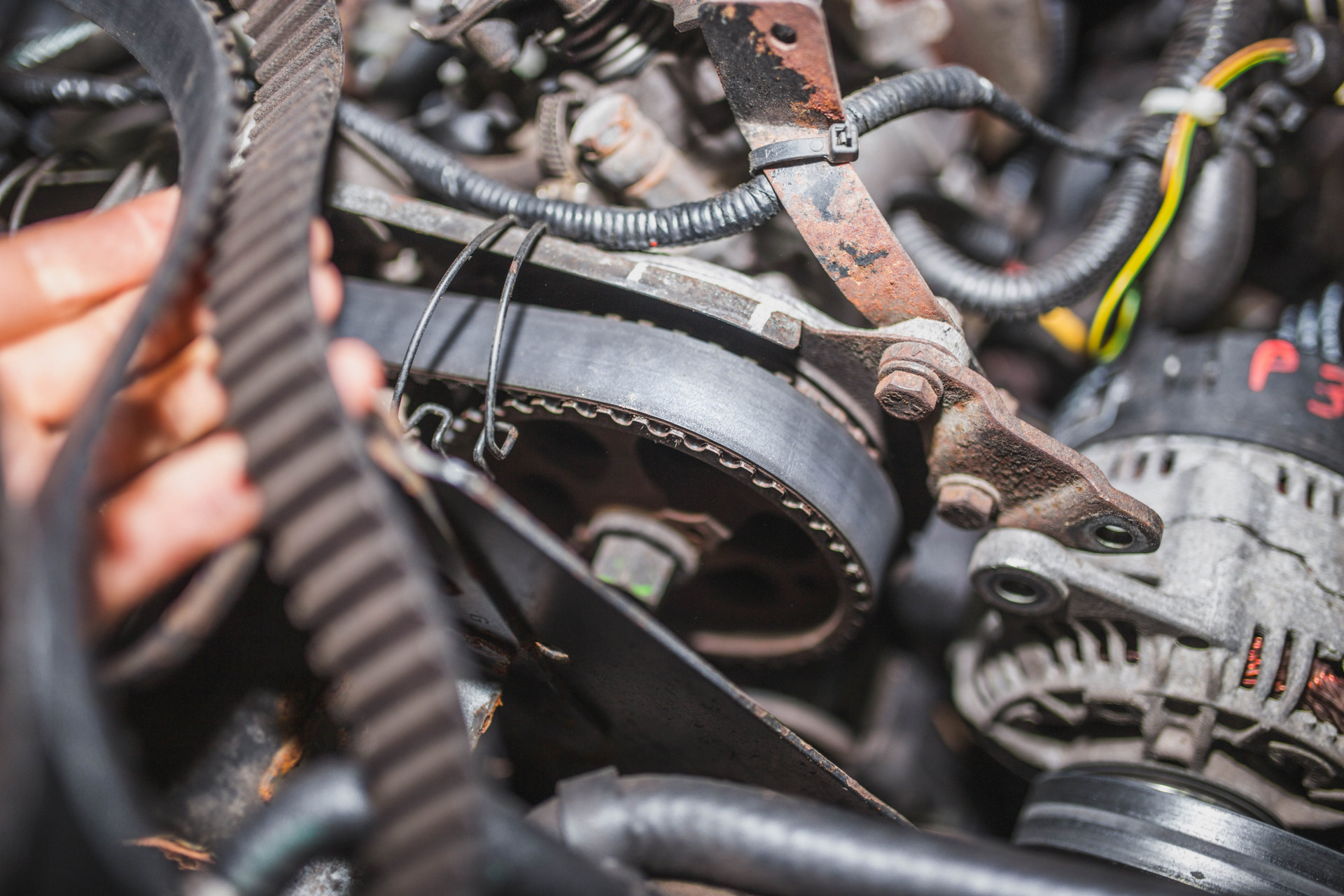 Timing Belt Replacement Service In Dubai Expert Car Care Golden